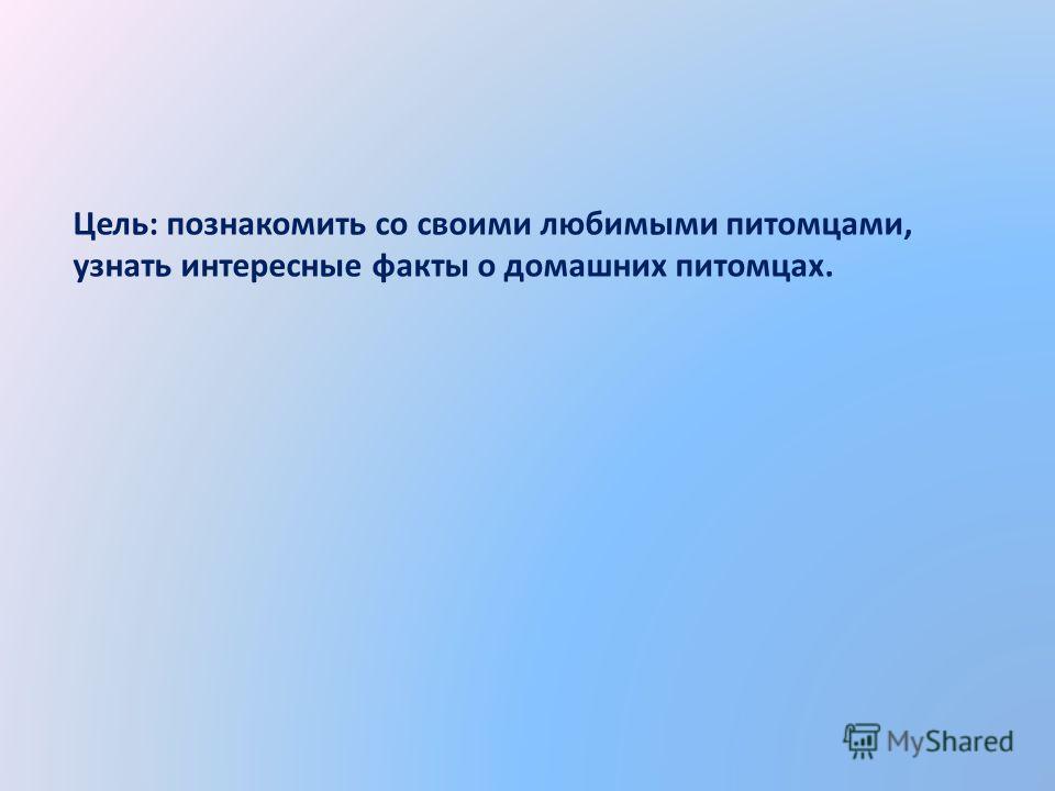 Презентация на тему «Мои любимые питомцы Ii региональный