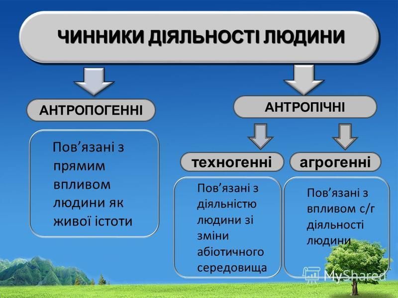 Презентация на тему Вступ до екології Автор презентації учитель