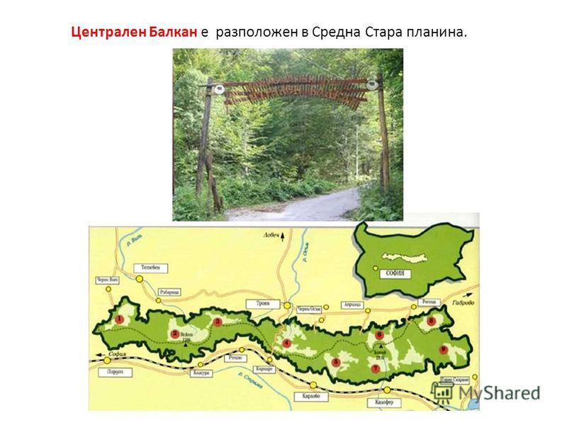 Презентация на тему Национални паркове в България Националният парк