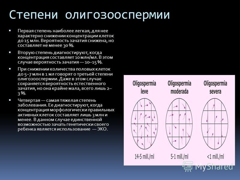 Презентация на тему Фертильность способность половозрелого организма