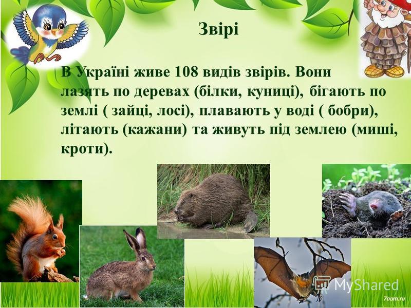 Презентация на тему Пристосування тварин до життя в різних умовах