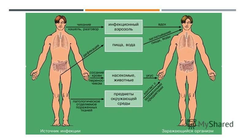 Презентация на тему «ЭПИДЕМИЧЕСКИЙ ПРОЦЕСС ЭПИДЕМИОЛОГИЧЕСКИЙ