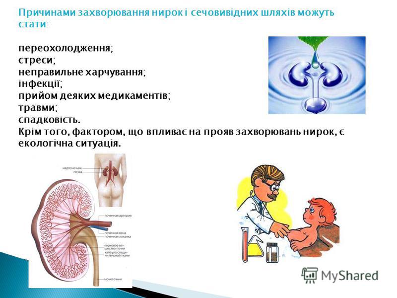 Презентация на тему Бартош Наталії 11 А клас Захворювання нирок і