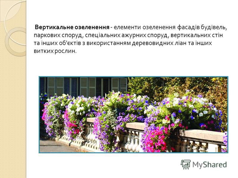 Презентация на тему Вертикальне озеленення елементи озеленення