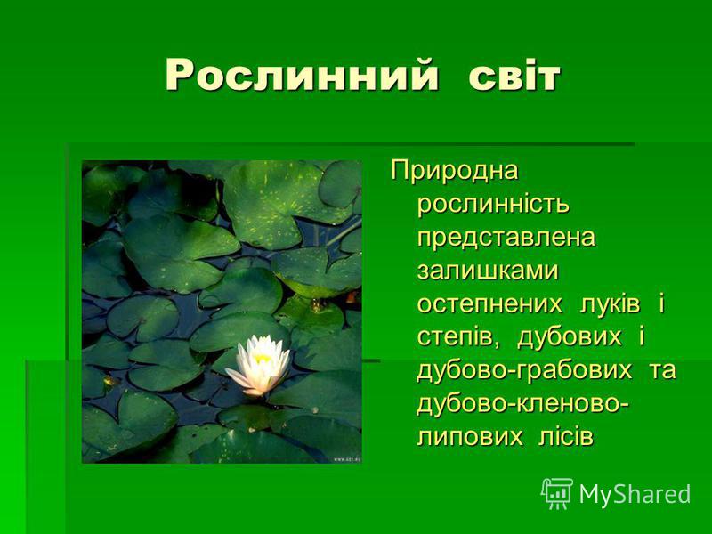 Презентация на тему Природні зони України Зона лісостепу України