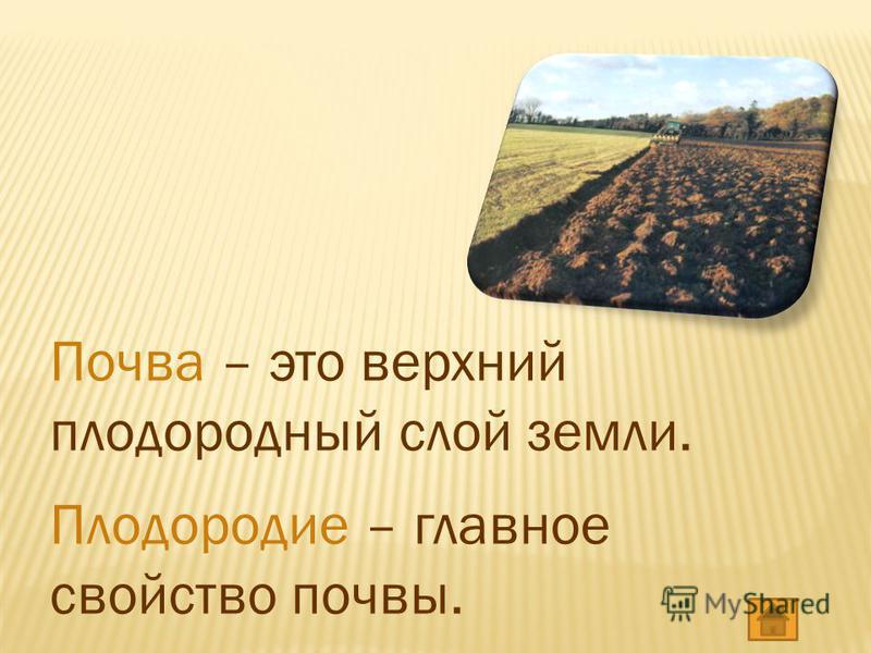 Презентация на тему Учитель начальных классов Виноградова Юлия