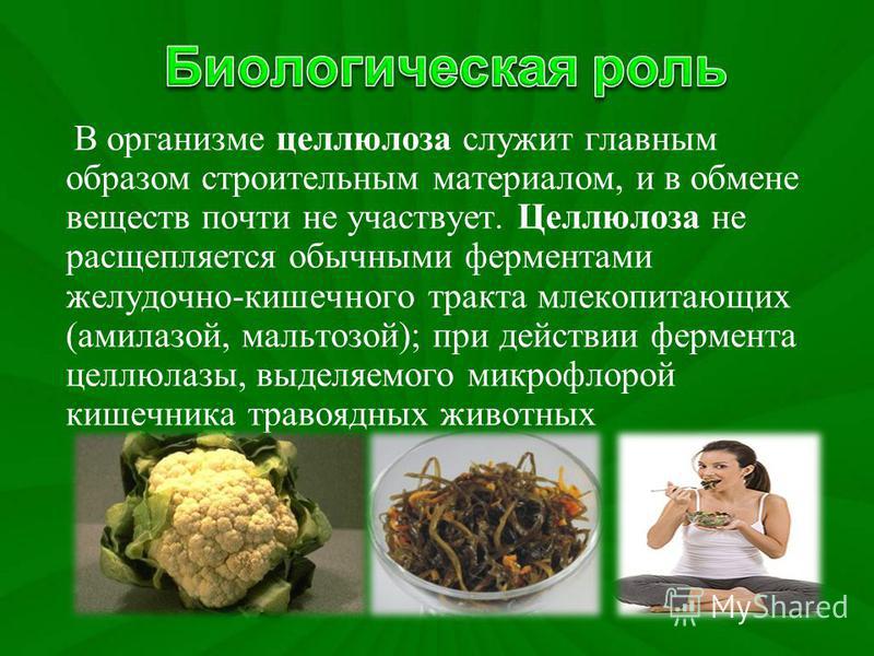 Презентация на тему: "Целлюлоза (от лат. cellula клетка, то же самое ...