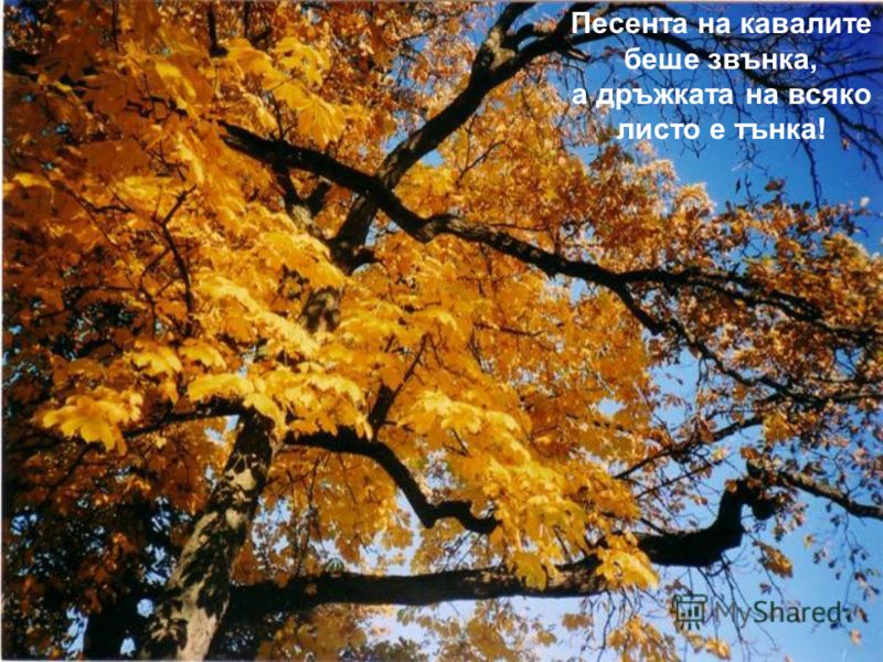 Презентация на тему Карнавал в гората Леда Милева Как започна Есента