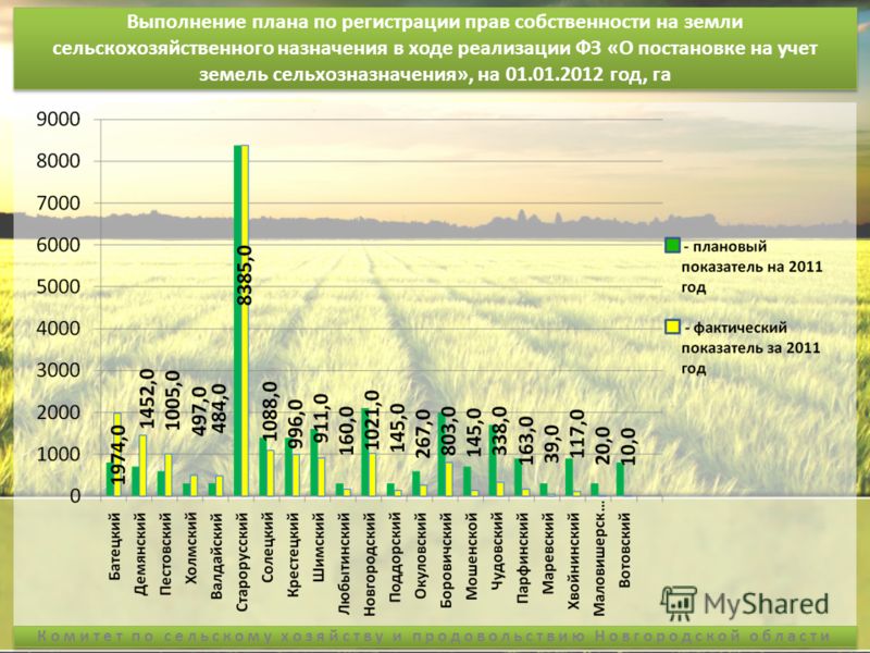 Презентация на тему О реализации мероприятий и государственной