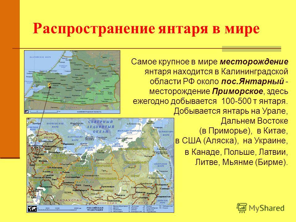 Презентация на тему Янтарь солнечный камень Скачать бесплатно и