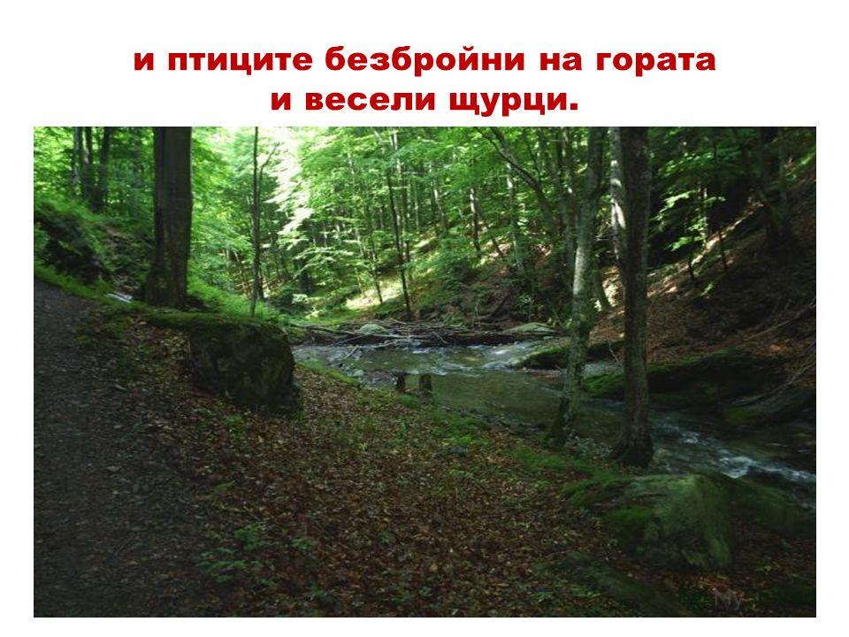 Презентация на тему ЗАВРЪЩАНЕ ЛЕДА МИЛЕВА Над много градове премина