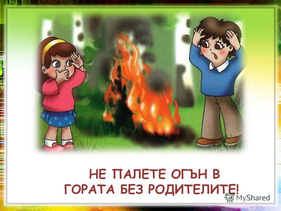 Презентация на тему ПРАВИЛА НА ПОВЕДЕНИЕ В ГОРАТА НЕ РАЗВАЛЯЙТЕ